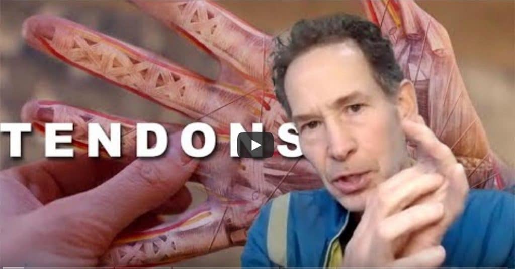 "Free Solo" - The Best Climbing Movie Ever? - Training For Climbing ...